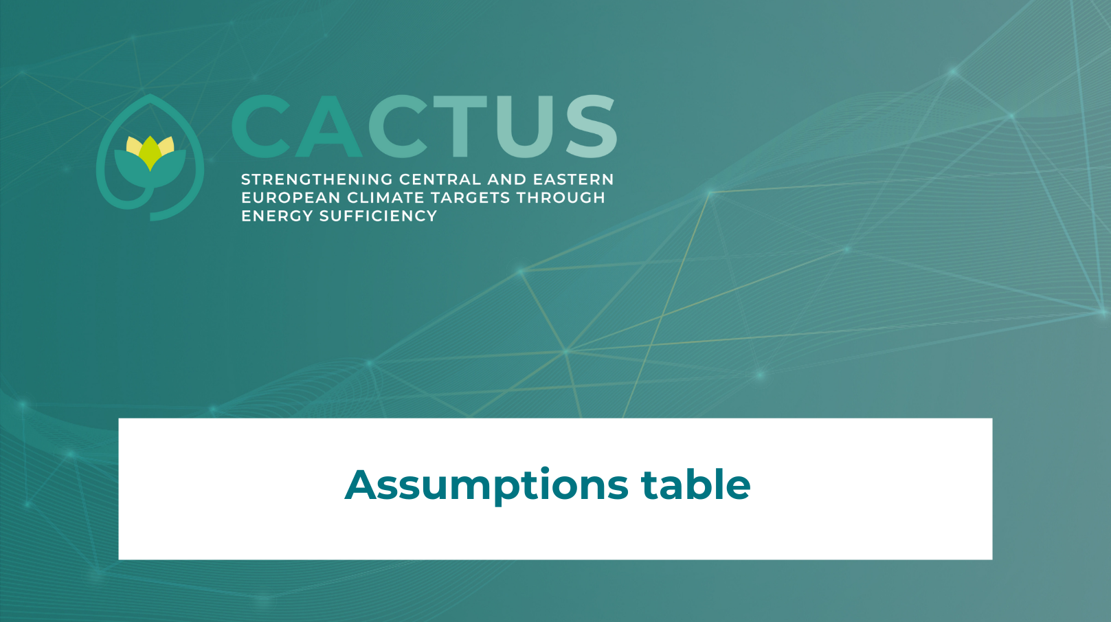Assumptions table - Cactus